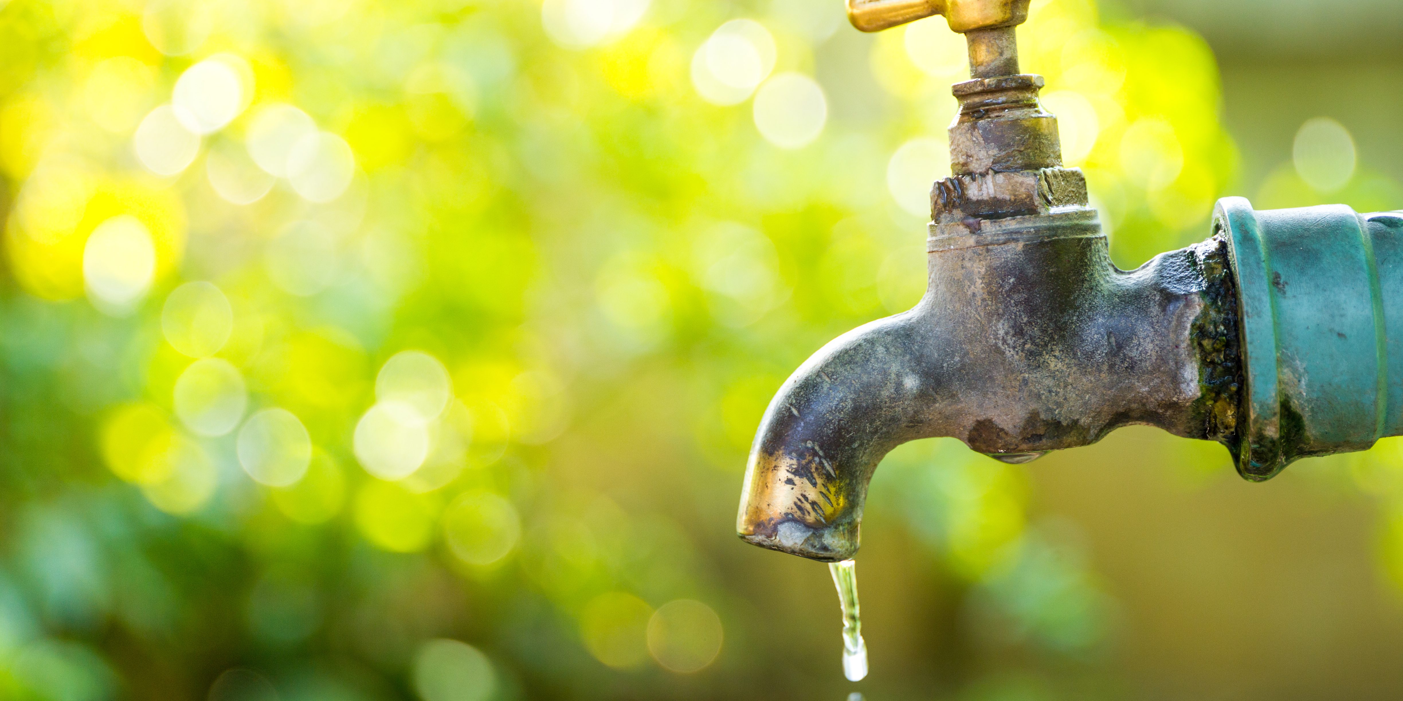 Save Water Around Your Home With These Easy To Follow Tips Amt Lawyers