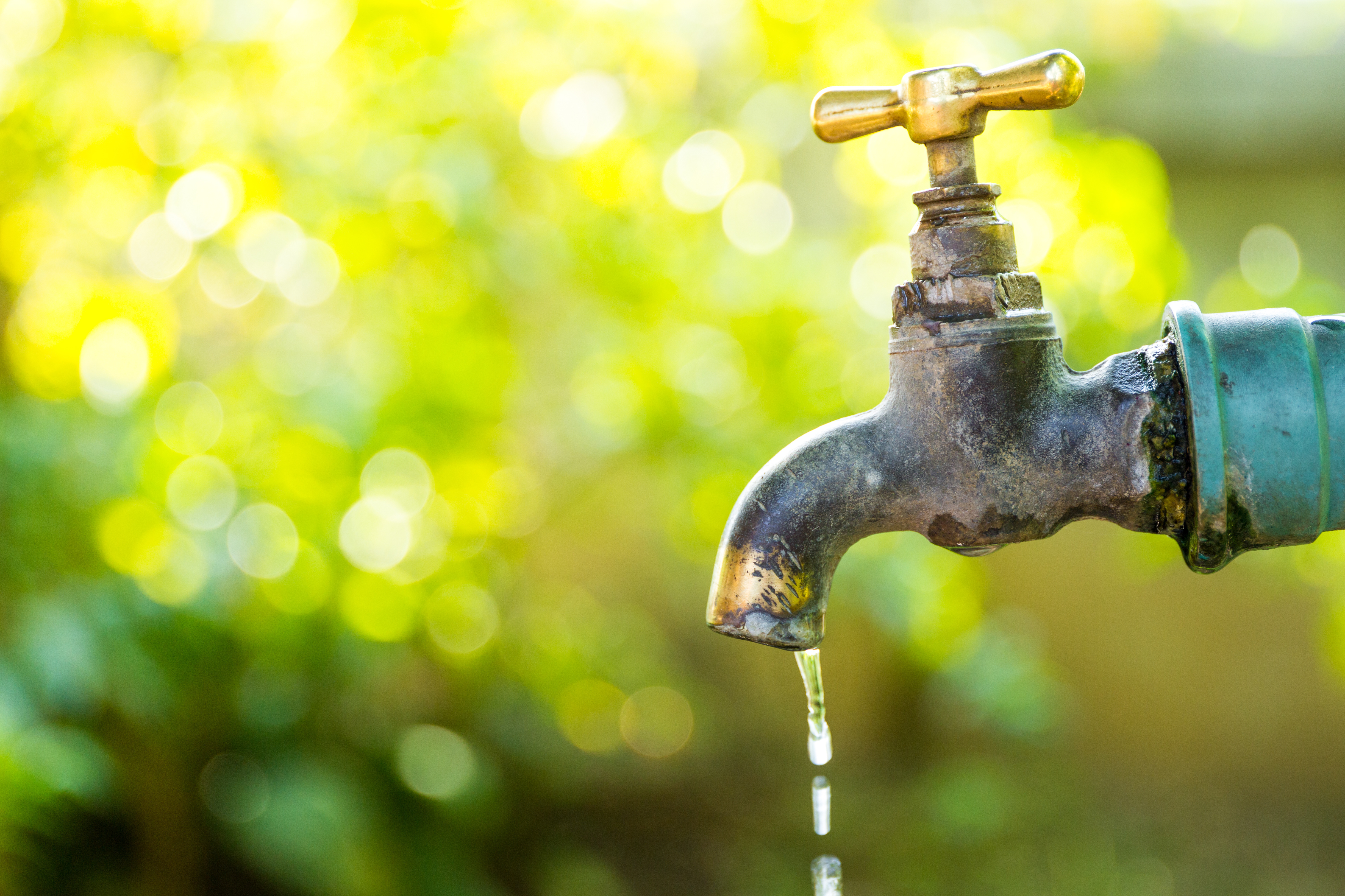 Save water around your home with these easy to follow tips – AMT Lawyers
